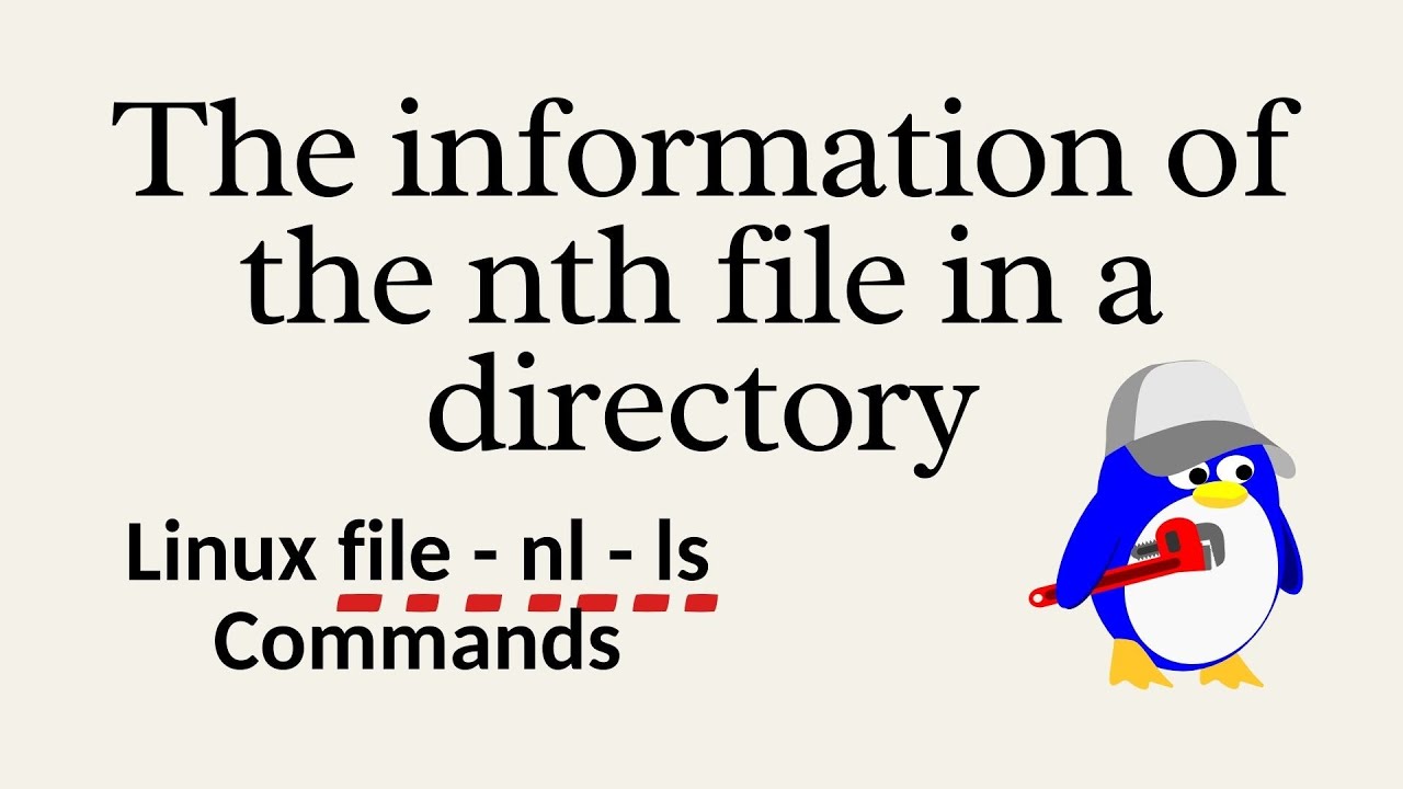 Bash script: how to find information about the nth file in a directory ...