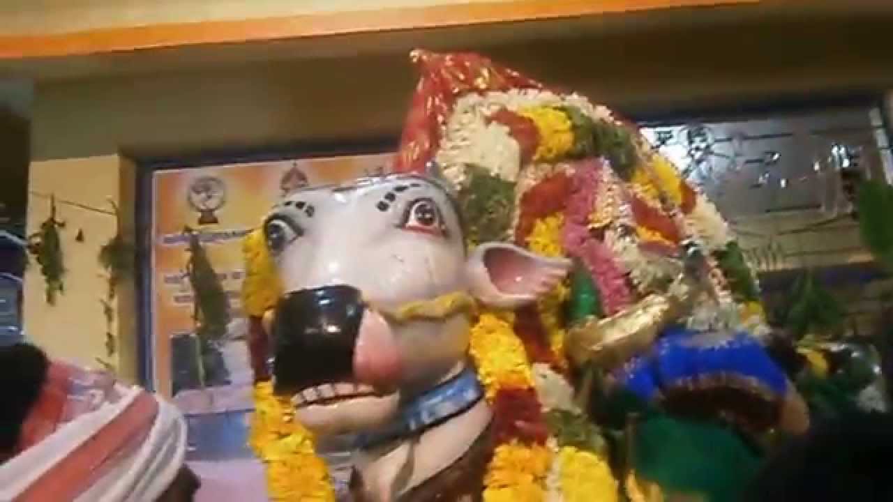 thuvarankurichi angalaparameshari amman temple maha shivarathiri ...