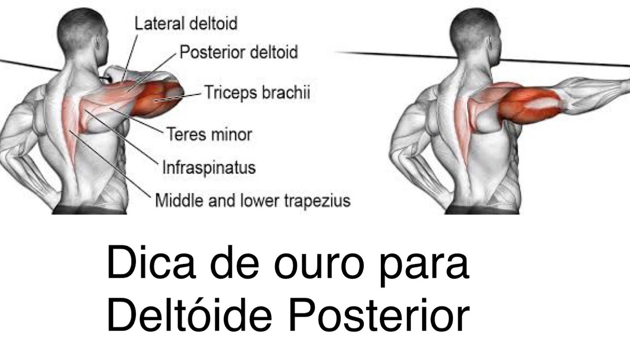Elevacao Deltoide Posterior Principais Erros No Treino De Ombros