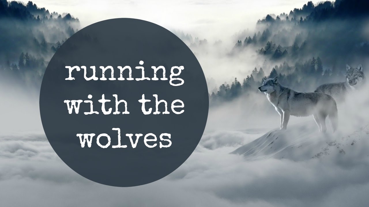 Running With The Wolves - AURORA - Acoustic Cover - YouTube