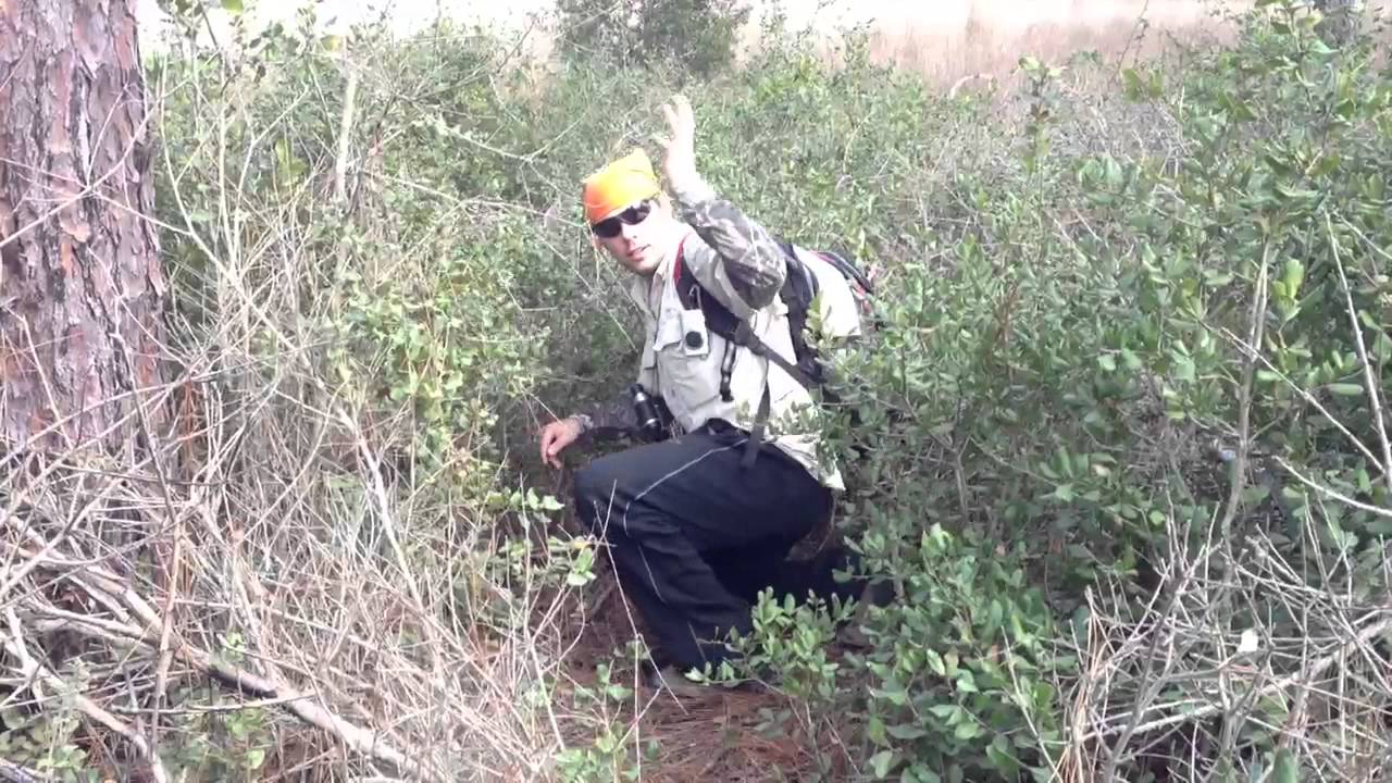 "Bear" Geocache in Ocala National Forest - YouTube