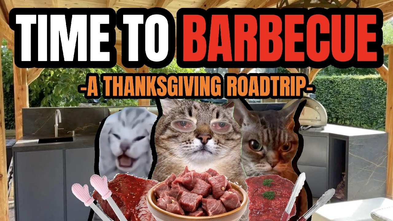 Cat MEMES: TIME TO BARBECUE! - YouTube