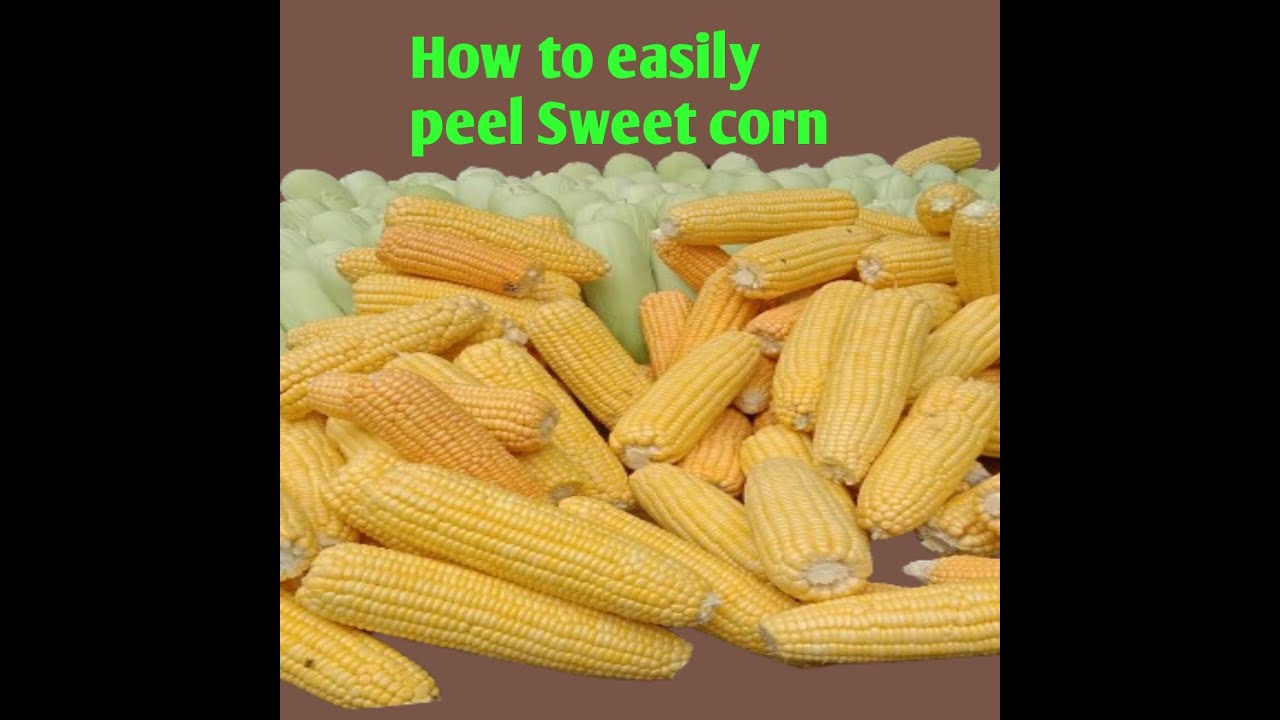 The Easiest way to peel sweet corn - YouTube