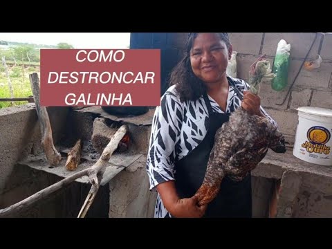 como destroncar galinha caipira .
