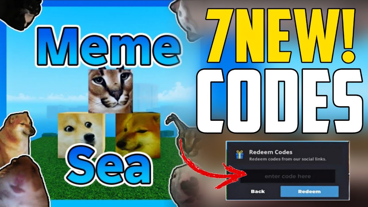 *NEW* ALL WORKING CODES FOR MEME SEA IN AUGUST 2024! ROBLOX MEME SEA ...