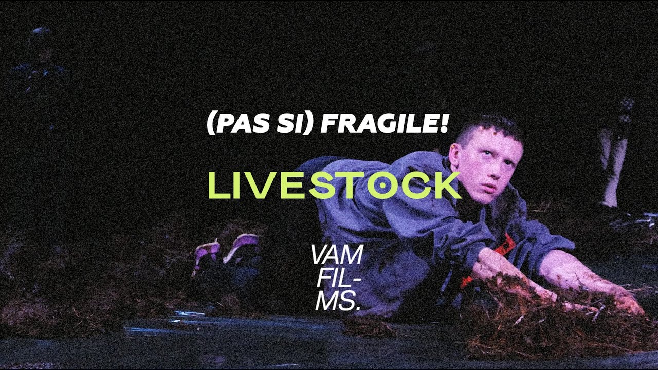 Livestock / (PAS SI) FRAGILE! 2024 - YouTube