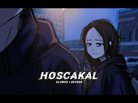Emre Aydın - hoşçakal (slowed + reverb)
