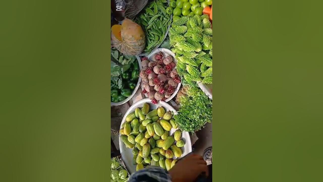 নার্সারি থেকে ঘুরে গাছ নিয়ে আসলাম Youtube