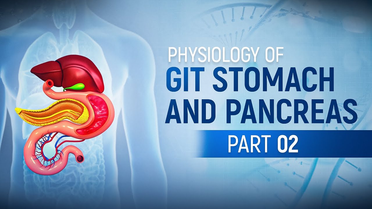 GIT Physiology MCQs | Stomach & Pancreas | Most Repeated Medical Exam ...