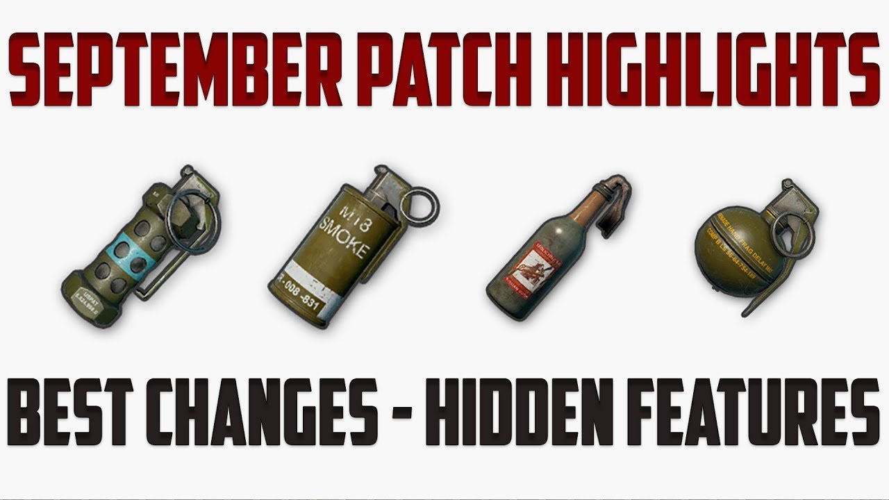 PUBG MINI-14 HIGHLIGHTS + TOP 5 BEST CHANGES/HIDDEN FEATURES ...