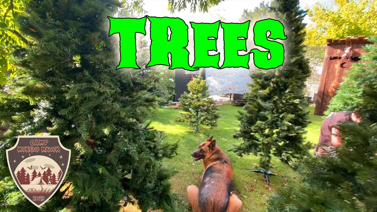 So many Trees - YouTube