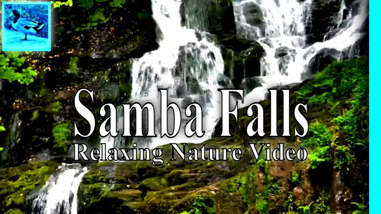 🔵 Samba Falls Video: 19 Minute Relaxing Nature Clips | Electro Samba ...