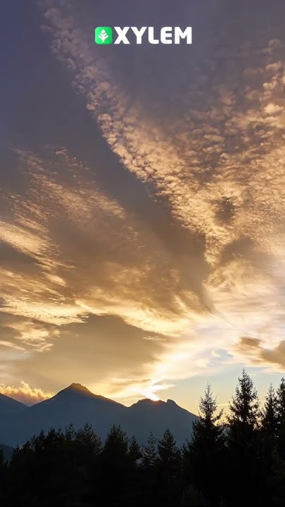 “Your Story Is Not Over “ | Xylem NEET - YouTube