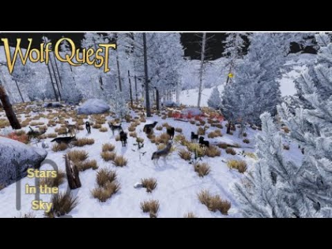 A wolf RAMPAGE of snow and silver ⭐ WQ 3: Stars in the Sky - YouTube