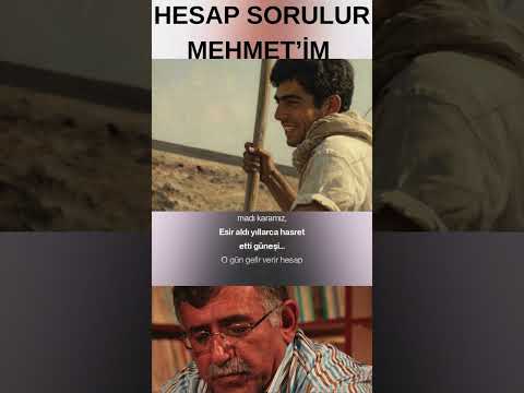 HESAP SORULUR MEHMET’İM  4