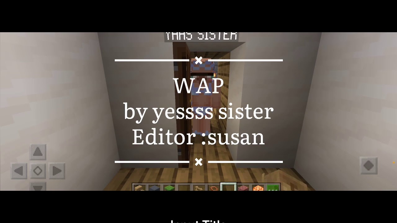 WAP by Cardi B | Minecraft edition | Susan and Kayla - YouTube
