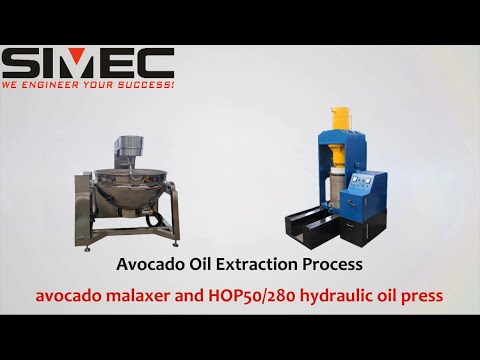Avocado Oil Extraction Process - YouTube