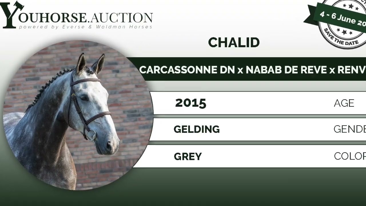 Chalid @ the show - YouTube