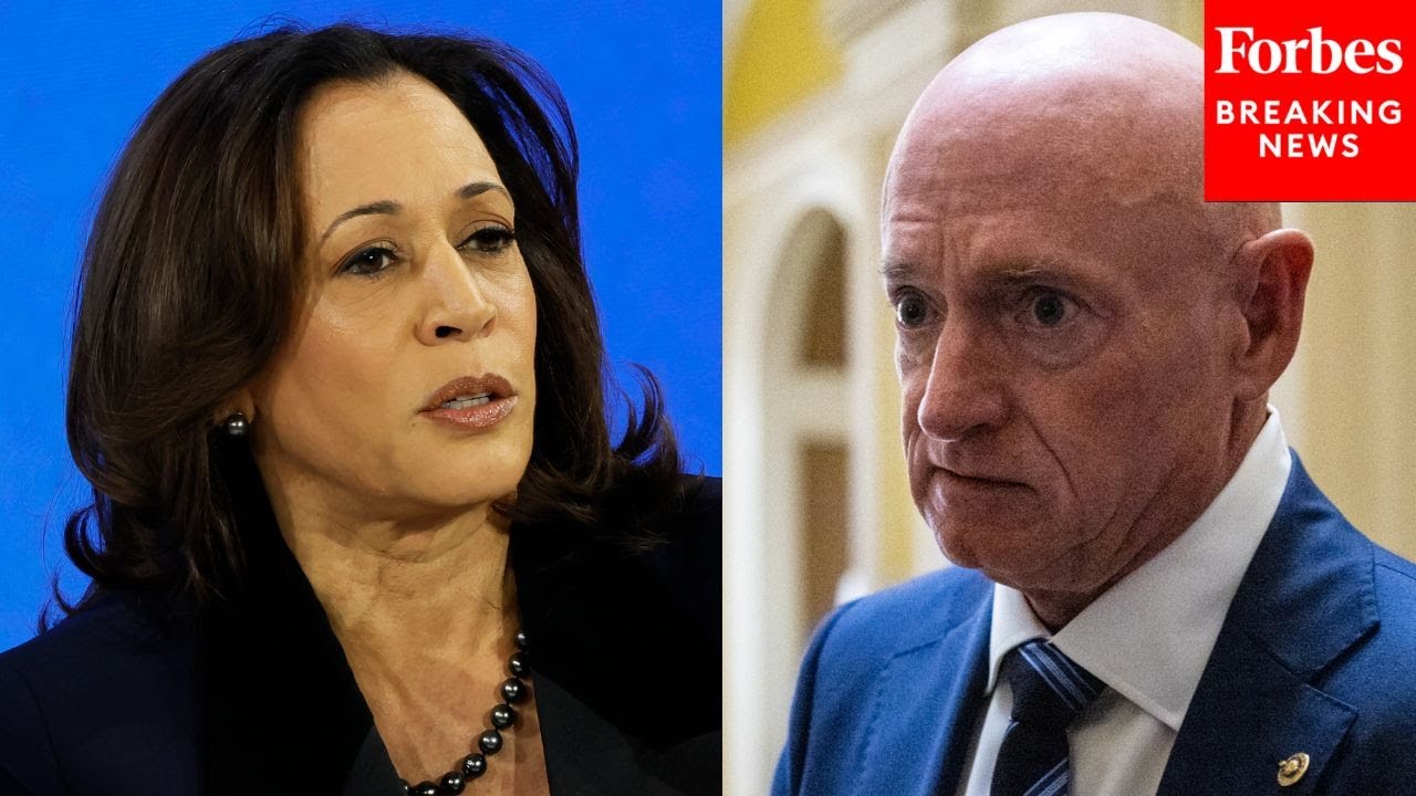 Mark Penn Explains Why Kamala Harris Should Not Choose Mark Kelly To Be ...