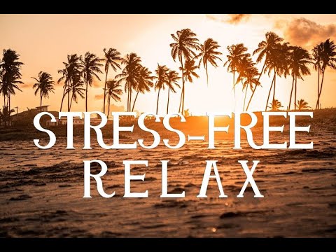 STRESS FREE SLEEP RELAXING MUSIC NO COPYRIGHT - YouTube