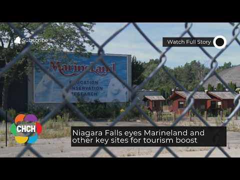 Niagara Falls eyes Marineland and other key sites for tourism boost