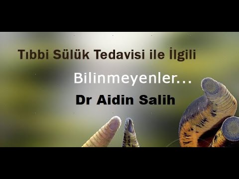 Sülük tedavisi faydaları ve uygulama Dr Aidin Salih Gerçek Tıp Kitabı