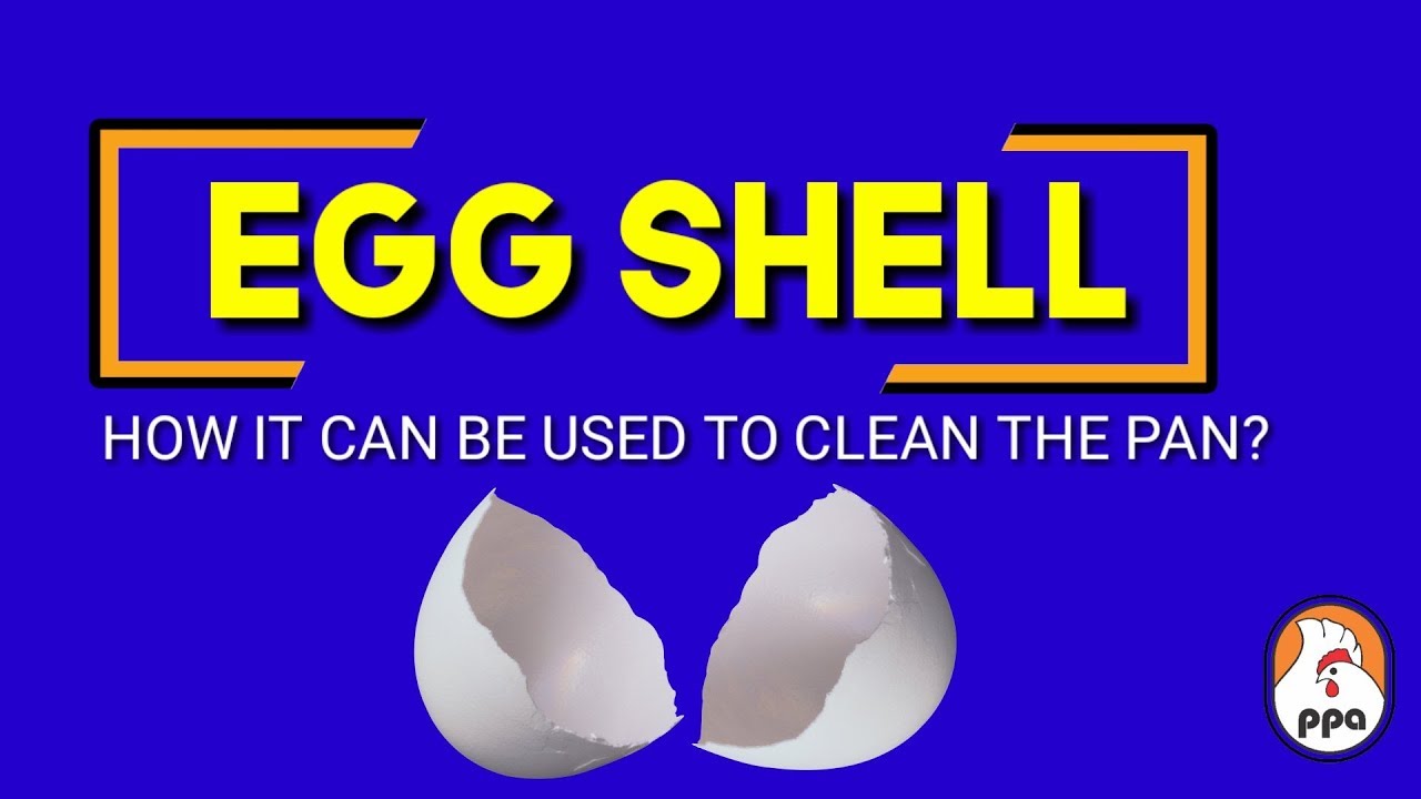 EGG SHELL...HOW IT CAN BE USED TO CLEAN THE PAN? - YouTube