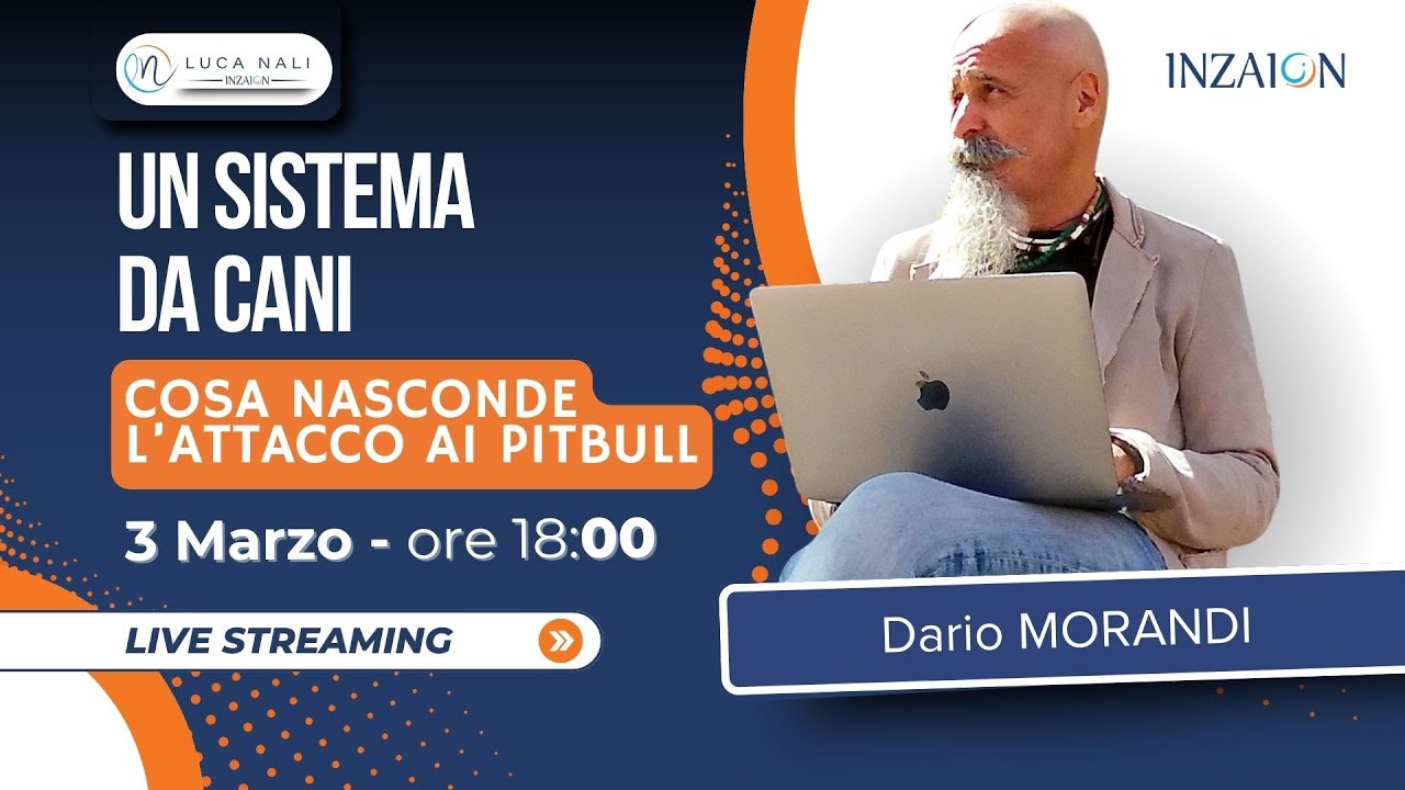 Un sistema da cani: Cosa nasconde l’attacco ai pitbull- Dario Morandi ...