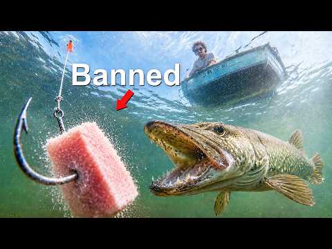 Every Fish I Catch My Bait Gets More Illegal!