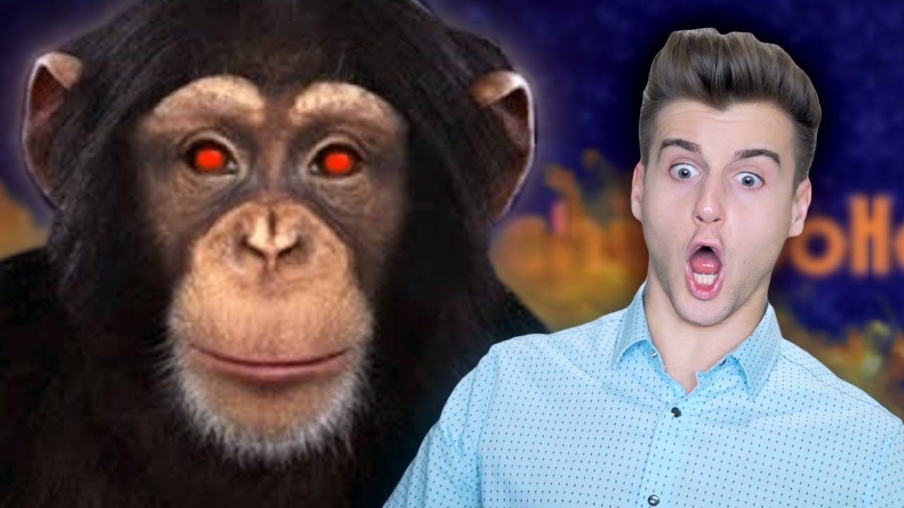 I Hate This Monkey! (Reacting To Chimbot) - YouTube