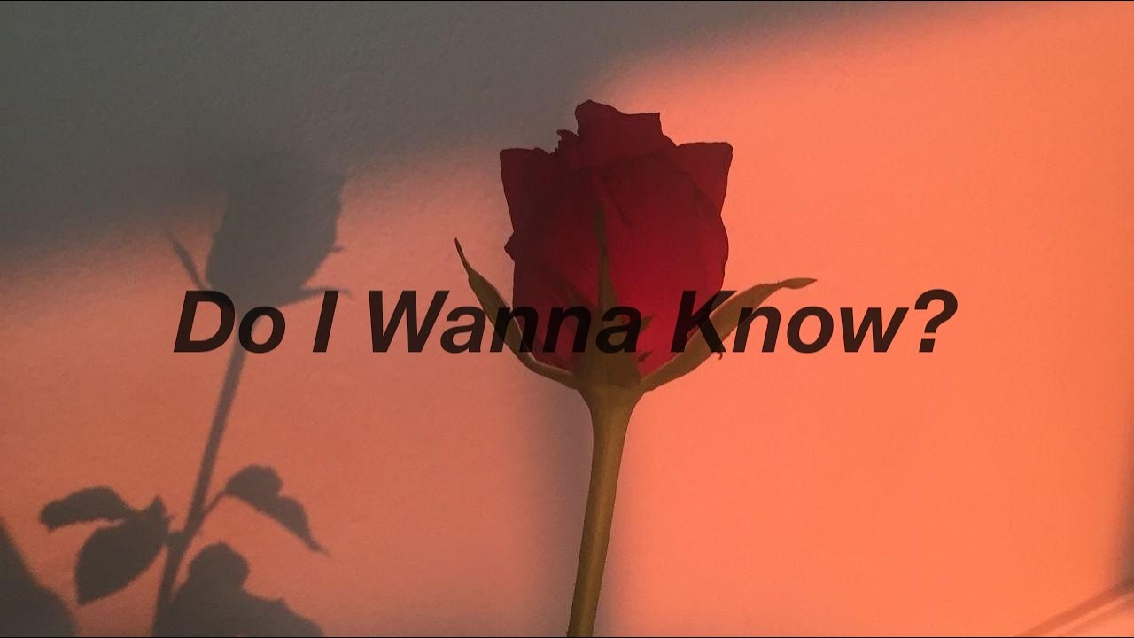 Do I Wanna Know? {slowed+reverb} 1 hour - YouTube