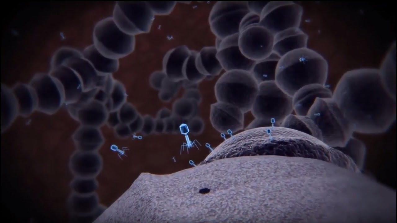 Christiana Care Gene Editing Institute - YouTube