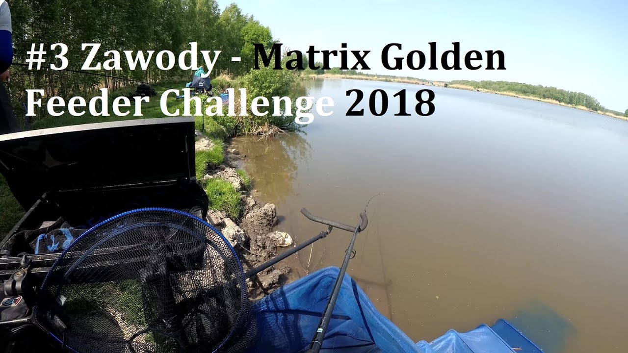 #3 Zawody - Matrix Golden Feeder Challenge 2018 - YouTube