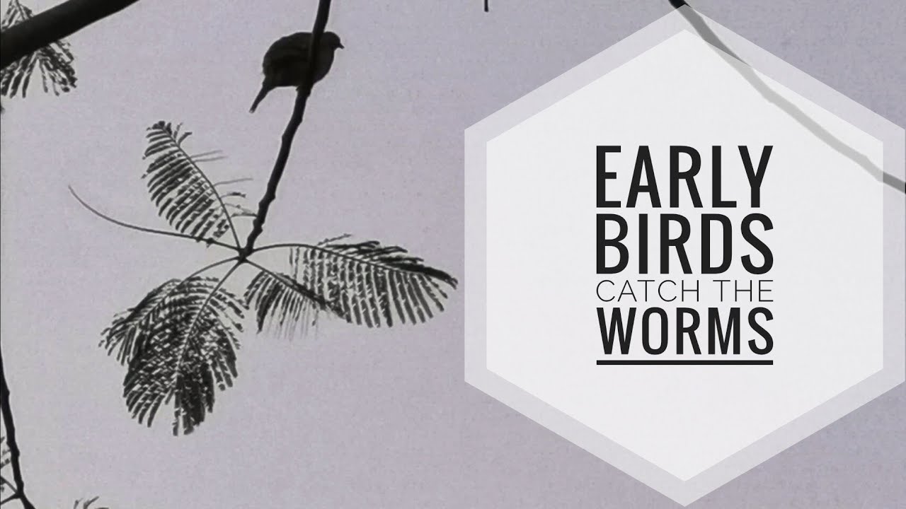 Early Birds Catch the Worms - YouTube