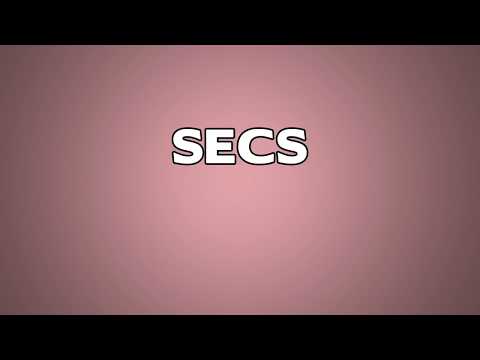 Secs Meaning