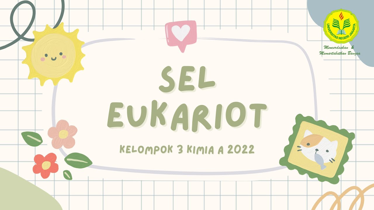 Kelompok 3 - Sel Eukariotik - YouTube