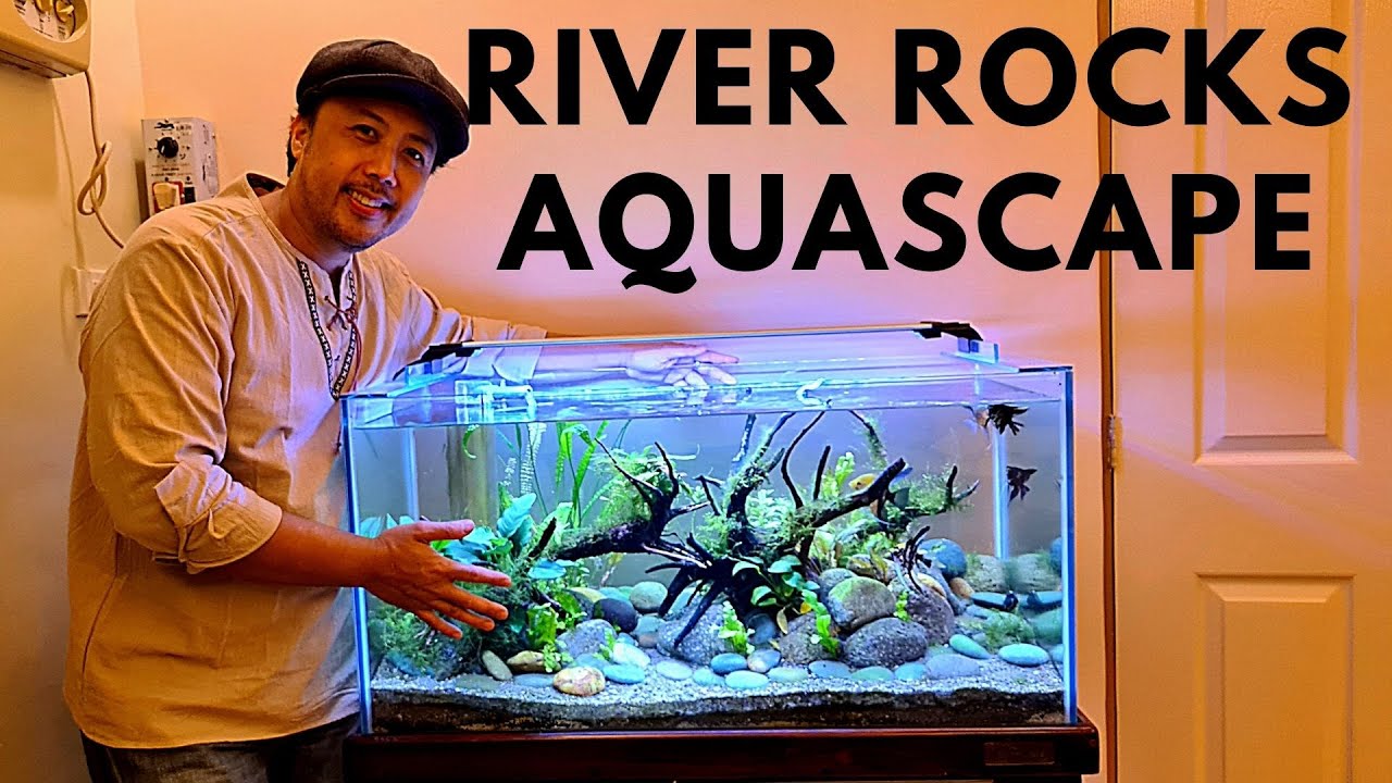 How to make a River Rocks Aquascape - YouTube
