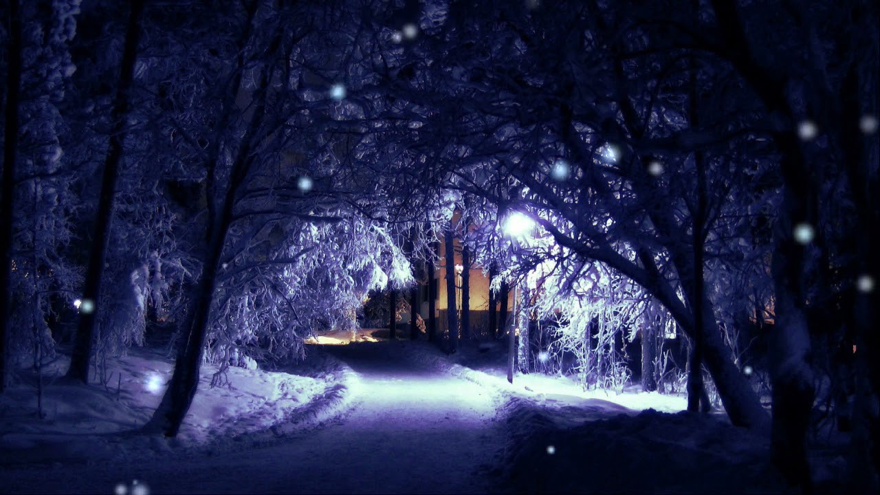 Relax With Us Winter Snowfall Ambience no ads Gentle Wind Blowing Snow ...