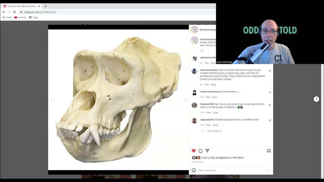 The Bigfoot Skull | Odd News - YouTube