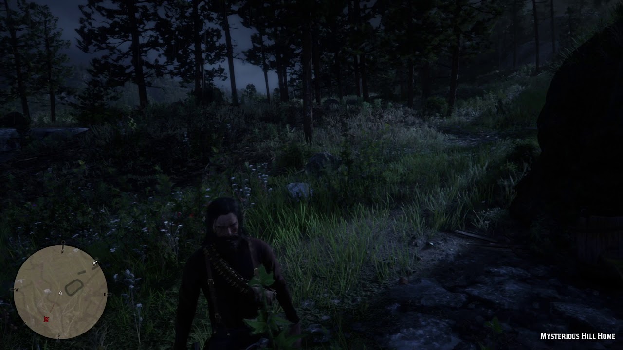 Rdr2 wtf symbols on tree - YouTube