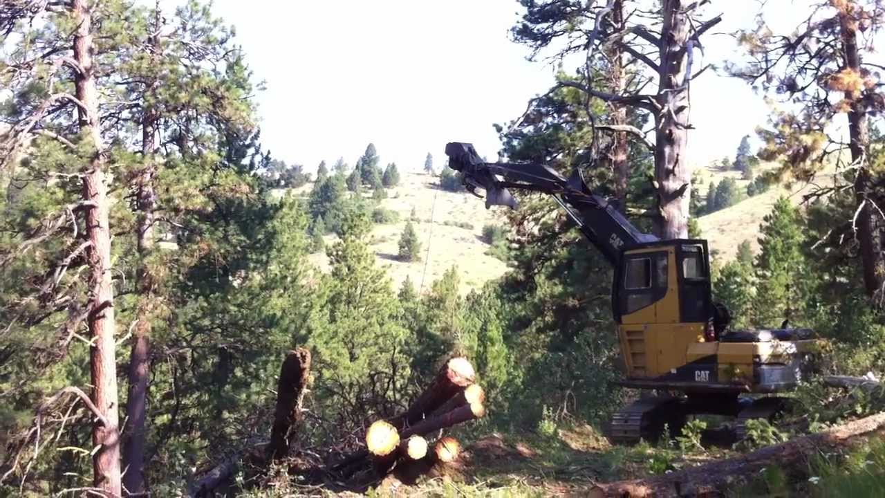 Tom Mahon Logging, Council, Idaho - Jammer Logging - YouTube