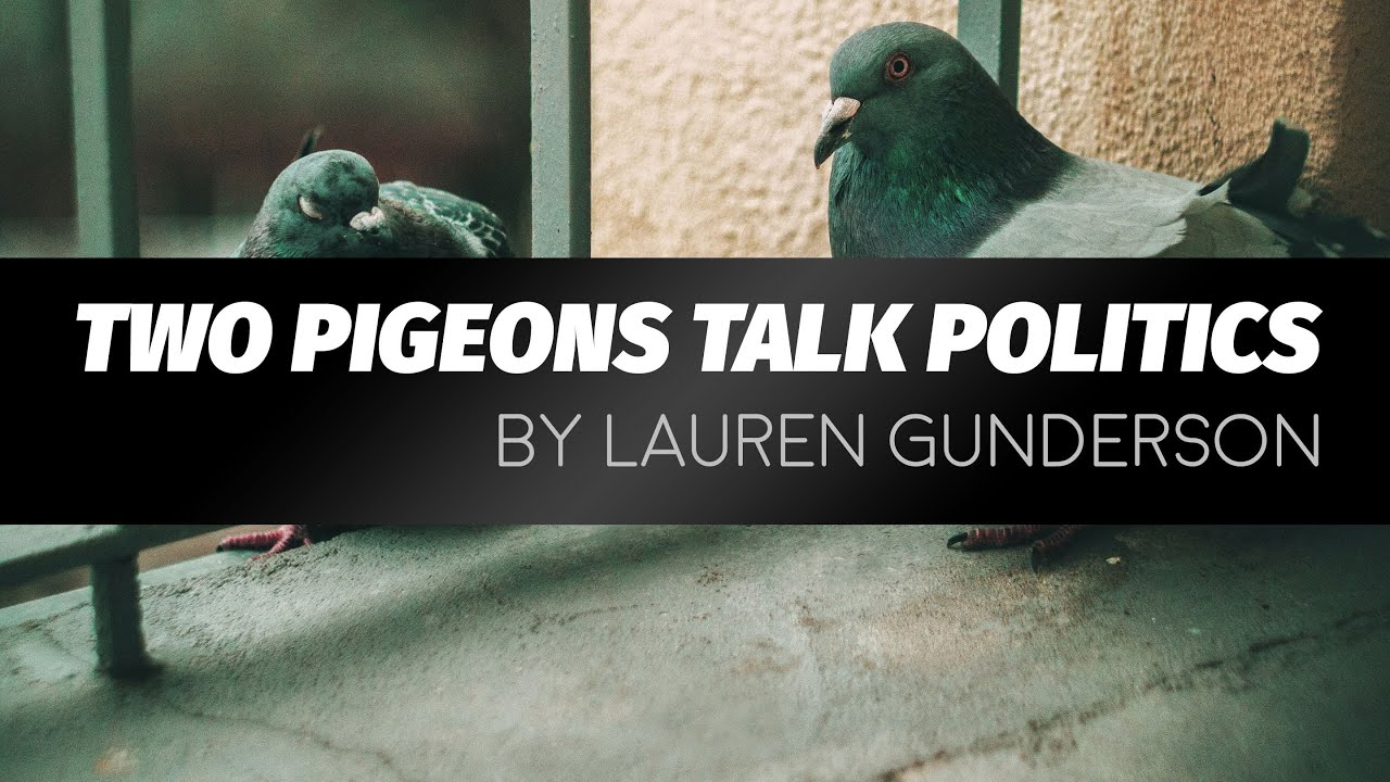 Two Pigeons Talk Politics - YouTube