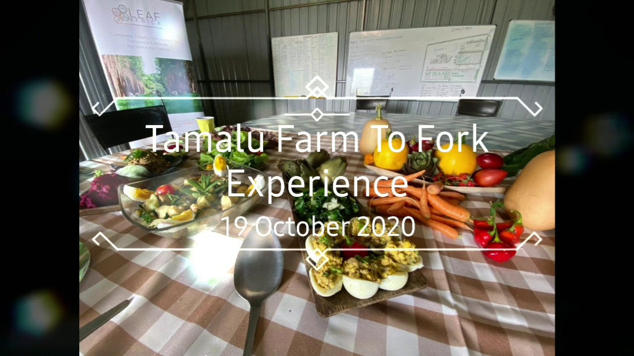 Tamalu Farm Tours - YouTube