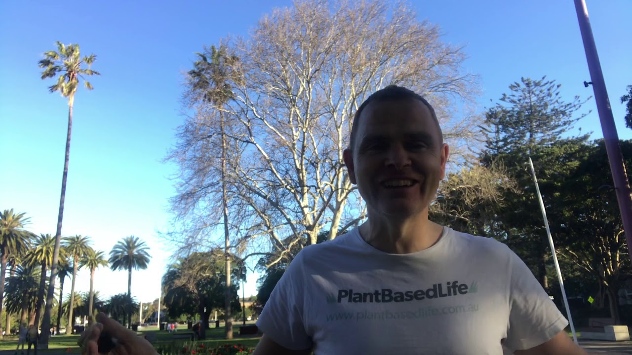 What is Plant Based Food Coaching? - YouTube