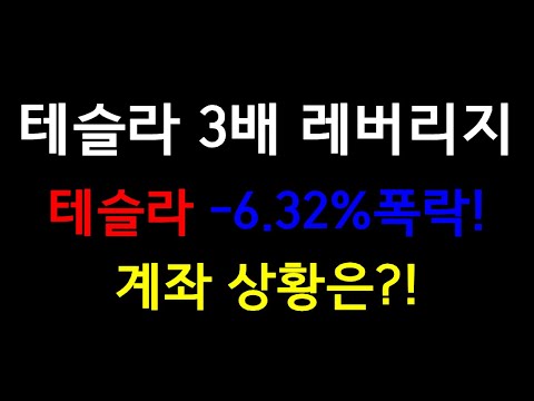 테슬라 3배 레버리지(삼슬라/Tsl3)로 은퇴하기(테슬라-6.32%폭락!)(23/01/31) - YouTube