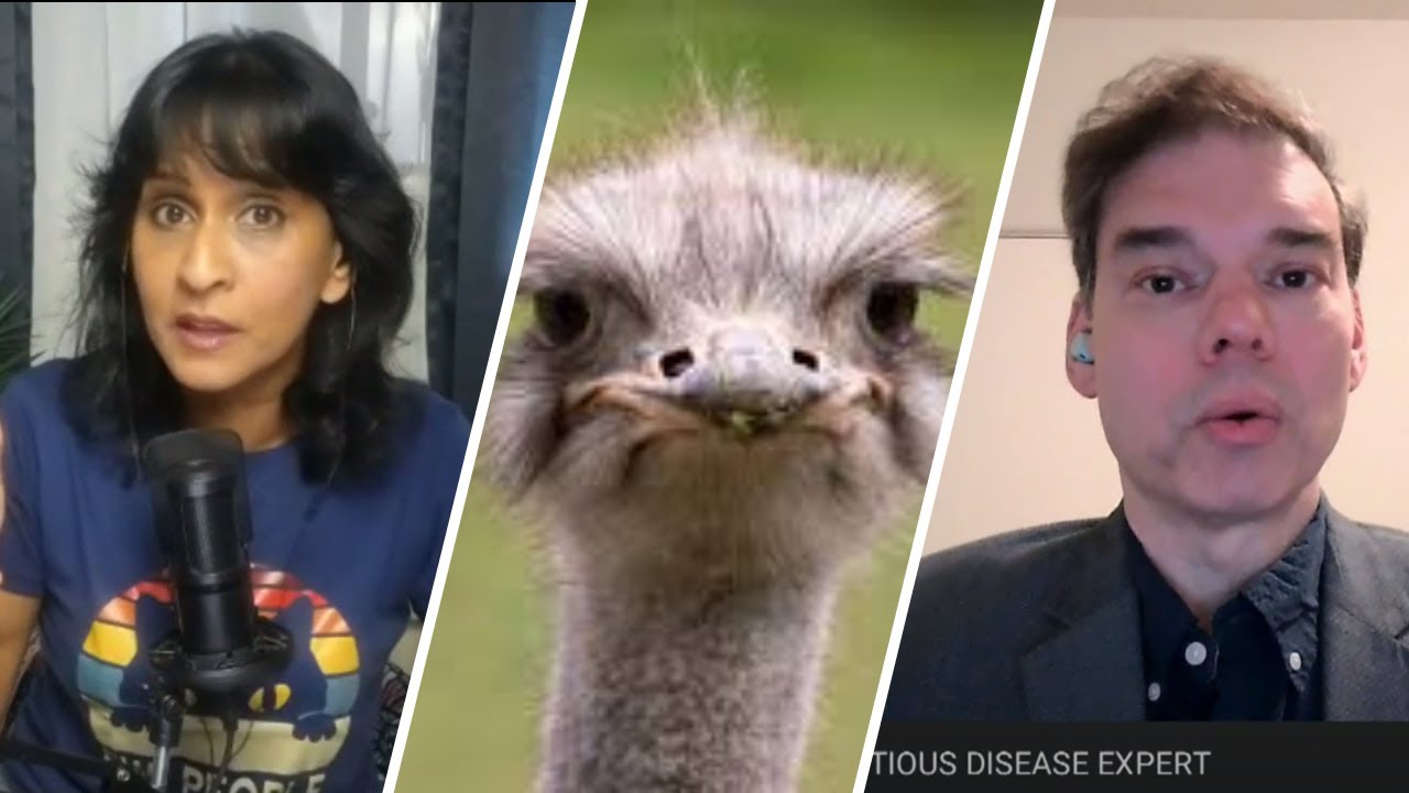 "Science vs Sanity: The Microbiologist Who Defends the Ostrich Cull ...