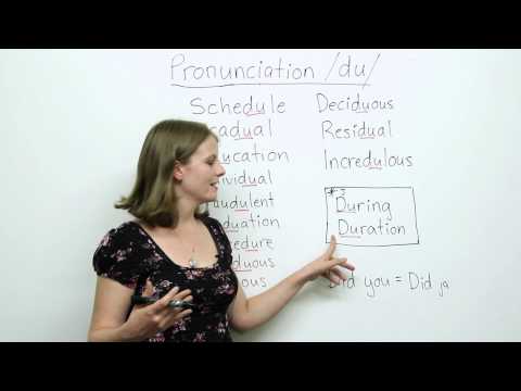 Pronunciation - DU - education, schedule, individual, procedure...