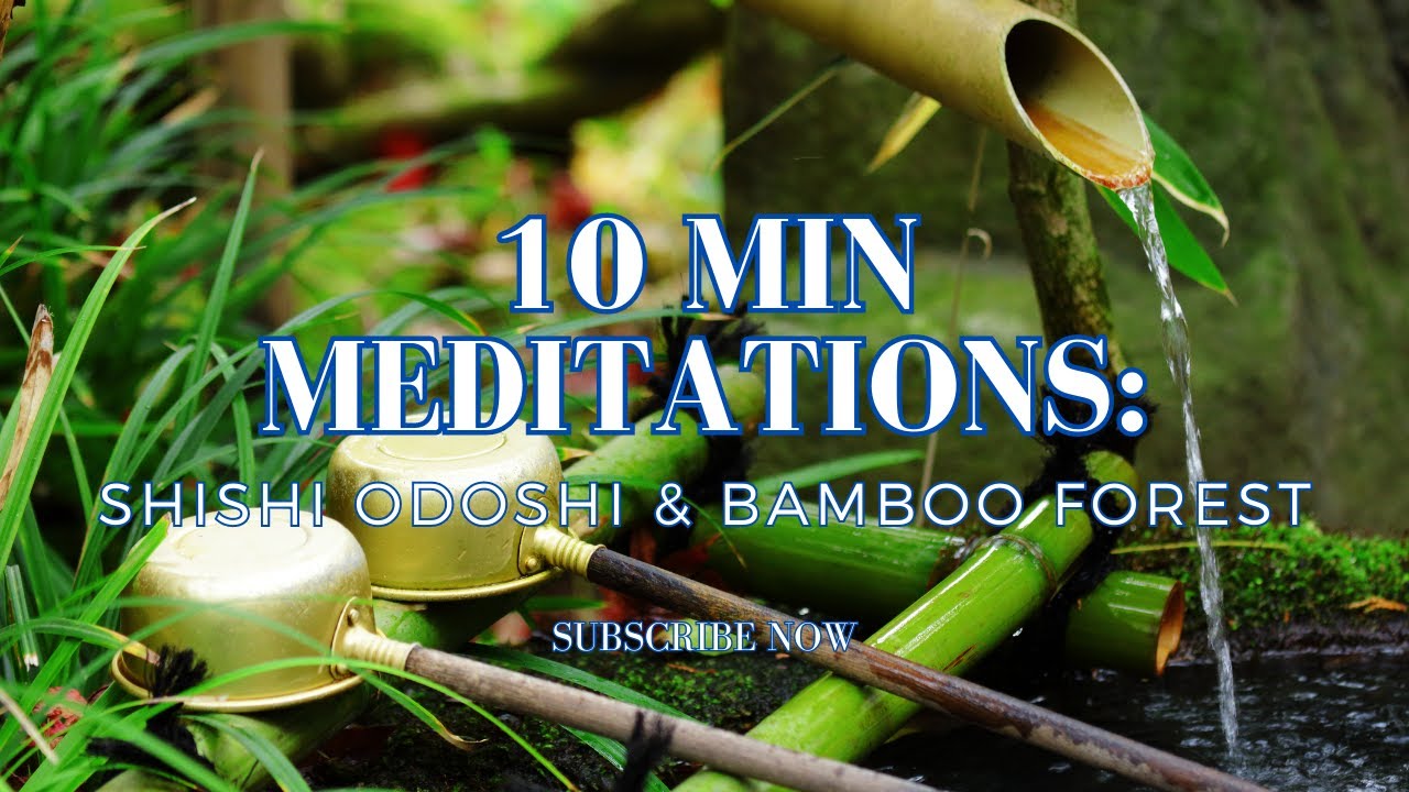 10 Minute Meditations: Shishi Odoshi & Bamboo Forest - YouTube