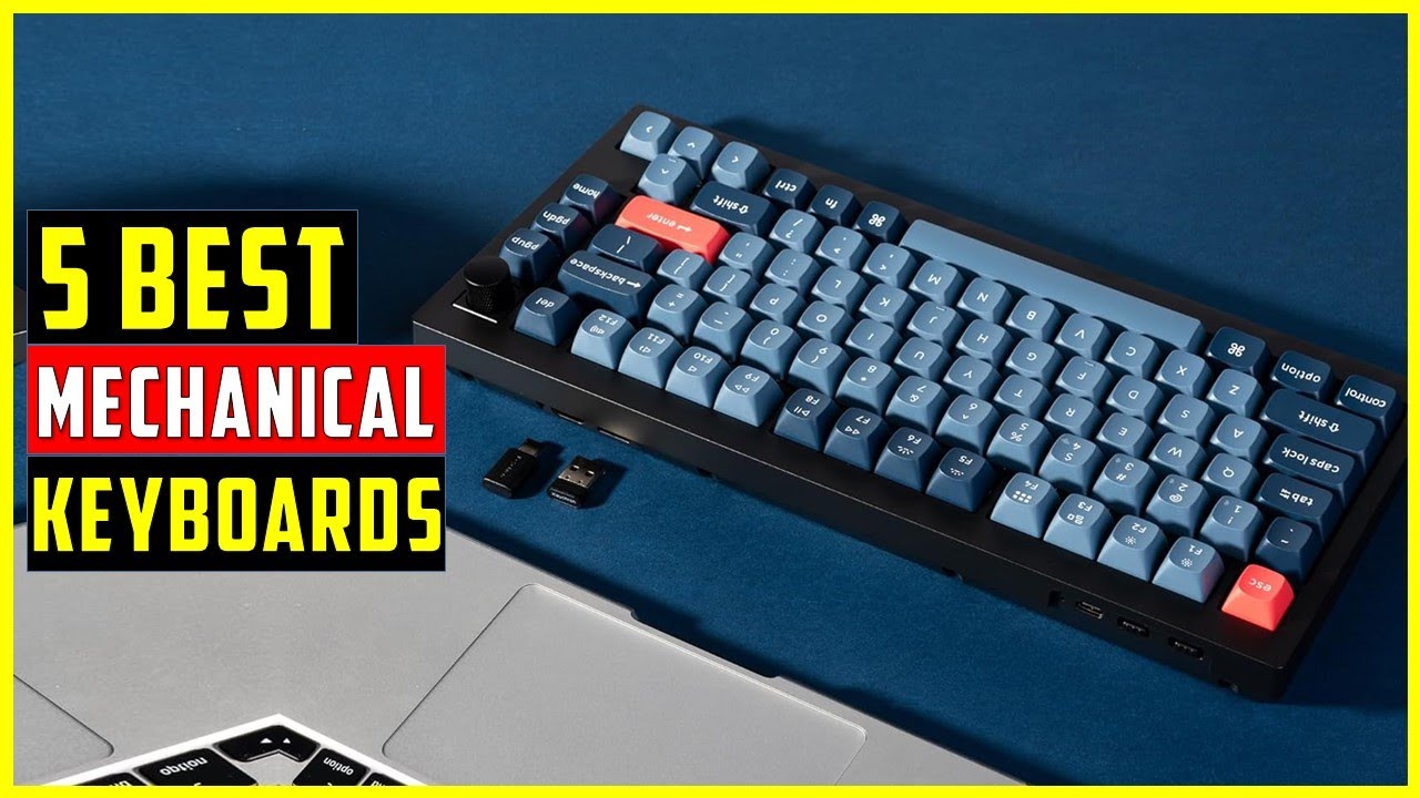 The 5 Best Mechanical Keyboards[Buying Guide] - YouTube