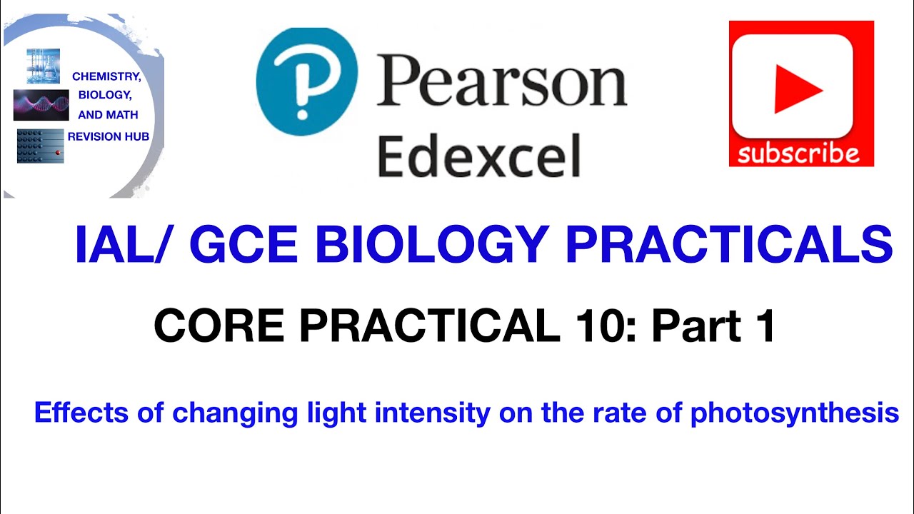 Effects of varying light intensity on the rate of photosynthesis ...